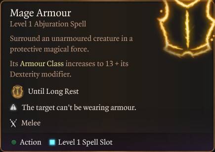 Baldur’s Gate 3 Wild Magic Sorcerer Build Guide