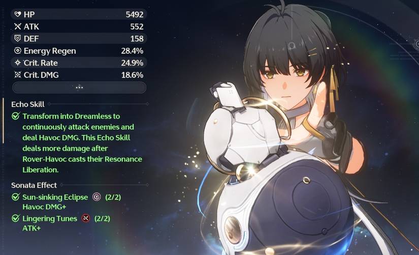 Wuthering Waves Rover Havoc Build Guide